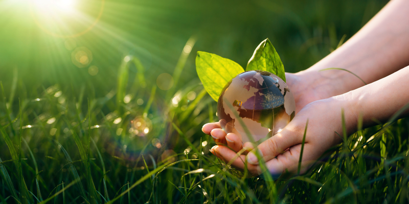 Climate Week 2025 in the School of Education | School of Education ...